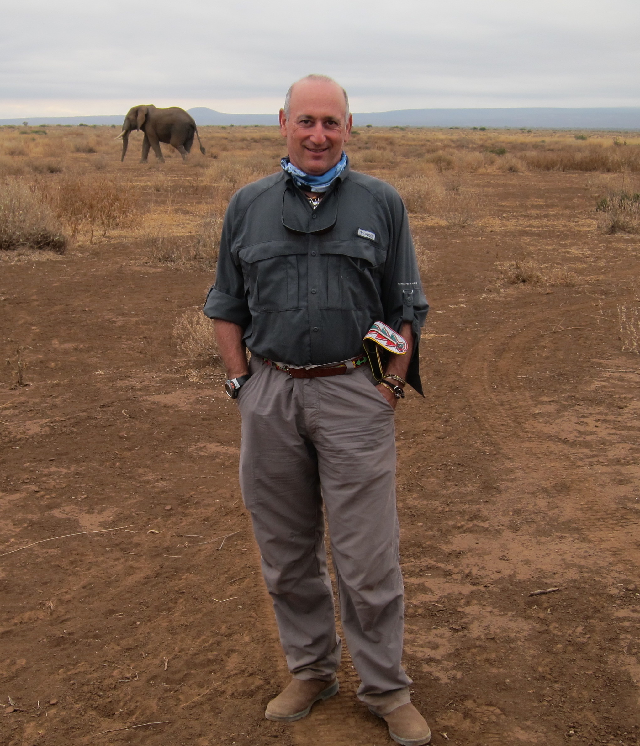 Guardians of the Spotted Ghost: An In-Depth Discussion on Cheetah ...