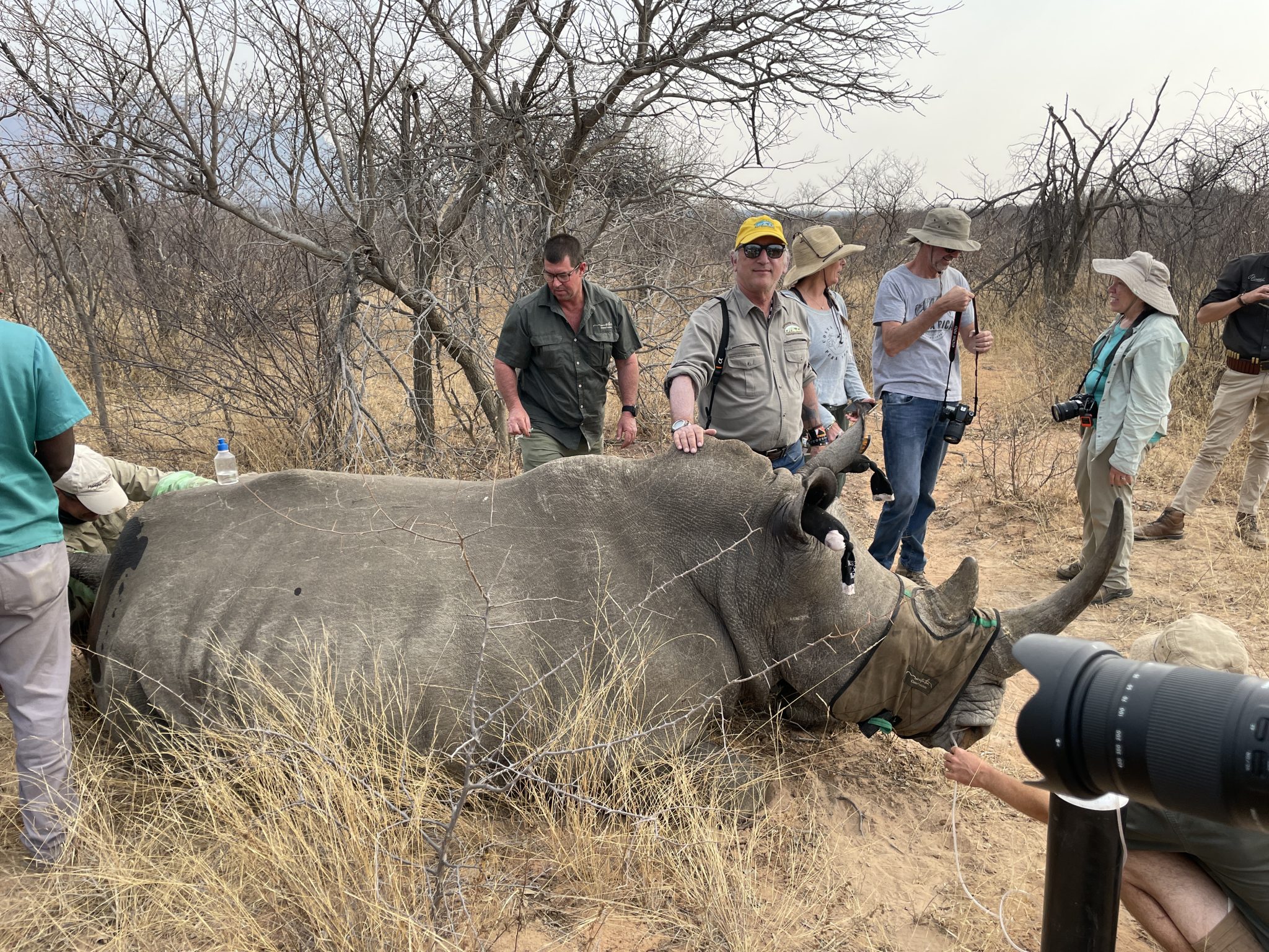 Conservation Working Safari in South Africa – The Adventurers' Club of ...